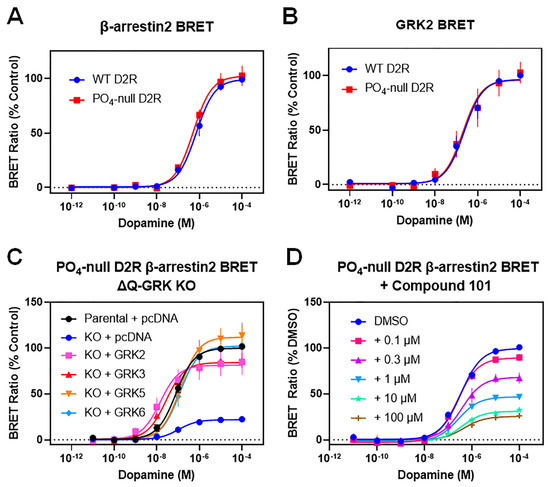 Biomolecules | Free Full-Text | G Protein-Coupled Receptor Kinase 2 Selectively Enhances β ...