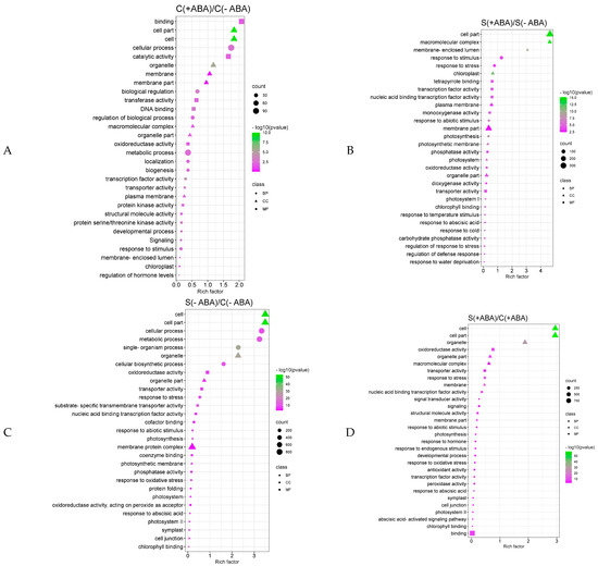 Effect of ABA Pre-Treatment on Rice Plant Transcriptome Response to ...