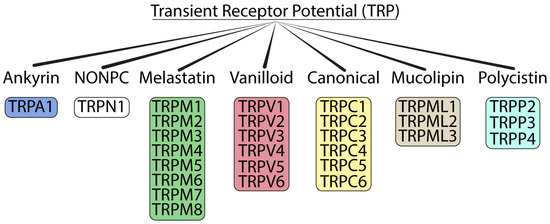 TRP Channels in Cancer: Signaling Mechanisms and Translational Approaches