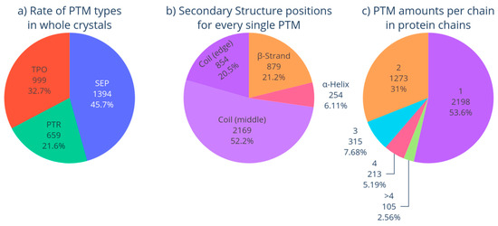 Analysis of Structural Changes in the Protein near the Phosphorylation Site