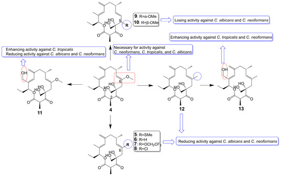Natural Polyketides Act as Promising Antifungal Agents