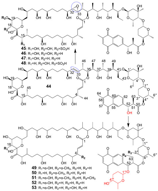 Natural Polyketides Act as Promising Antifungal Agents