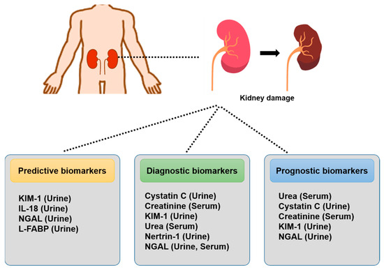 Currently Used Methods to Evaluate the Efficacy of Therapeutic Drugs ...