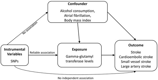 Potential Causal Association between Elevated Gamma-Glutamyl Transferase Level and Stroke: A Two ...