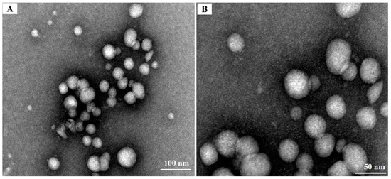 Self-Assembled Amphiphilic Chitosan Nanomicelles: Synthesis, Characterization and Antibacterial ...