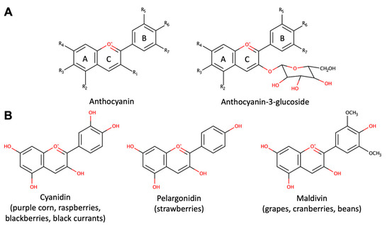 Anthocyanins: Molecular Aspects on Their Neuroprotective Activity