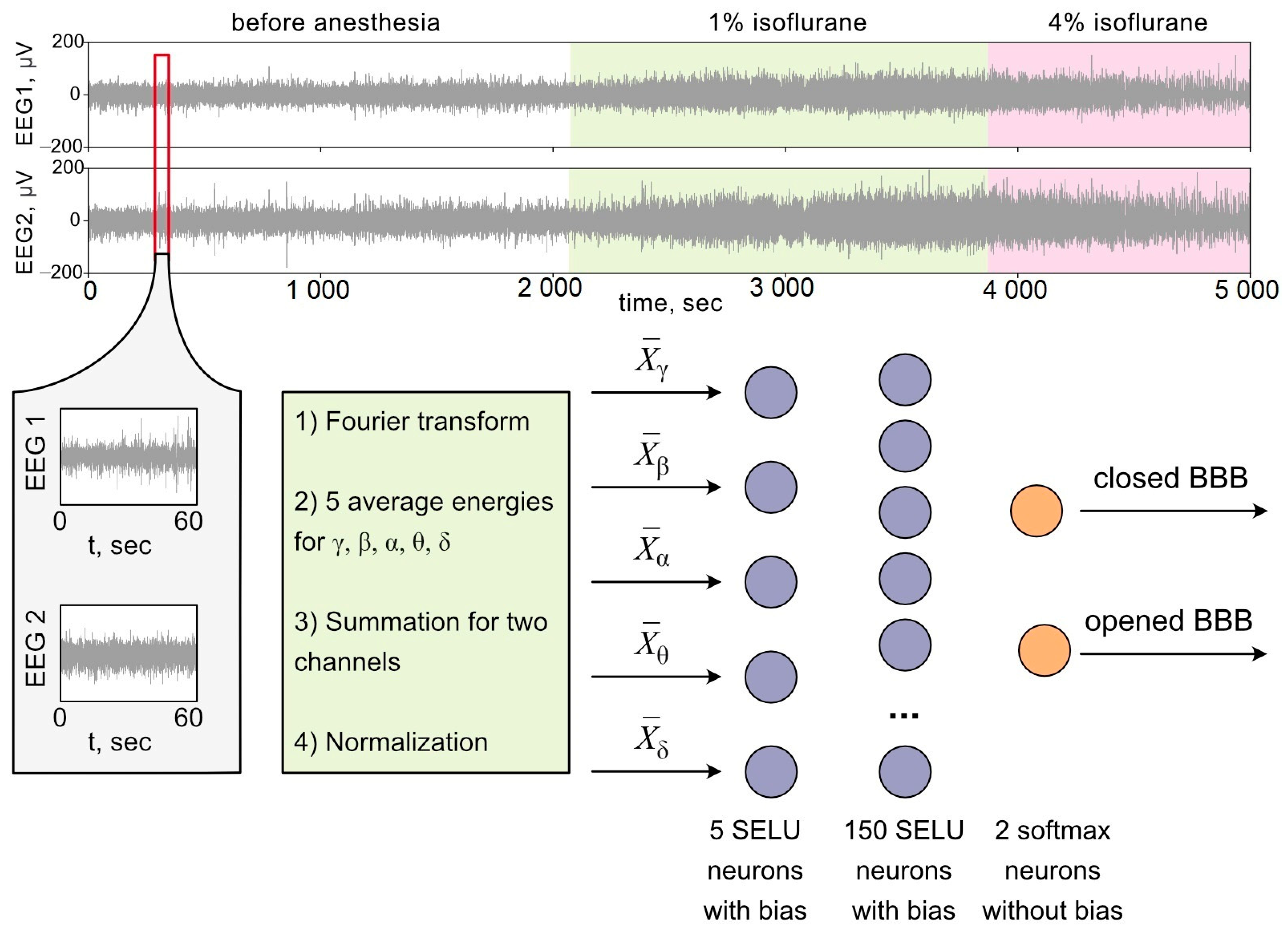 Biomolecules | Free Full-Text | Machine Learning Technology for EEG ...