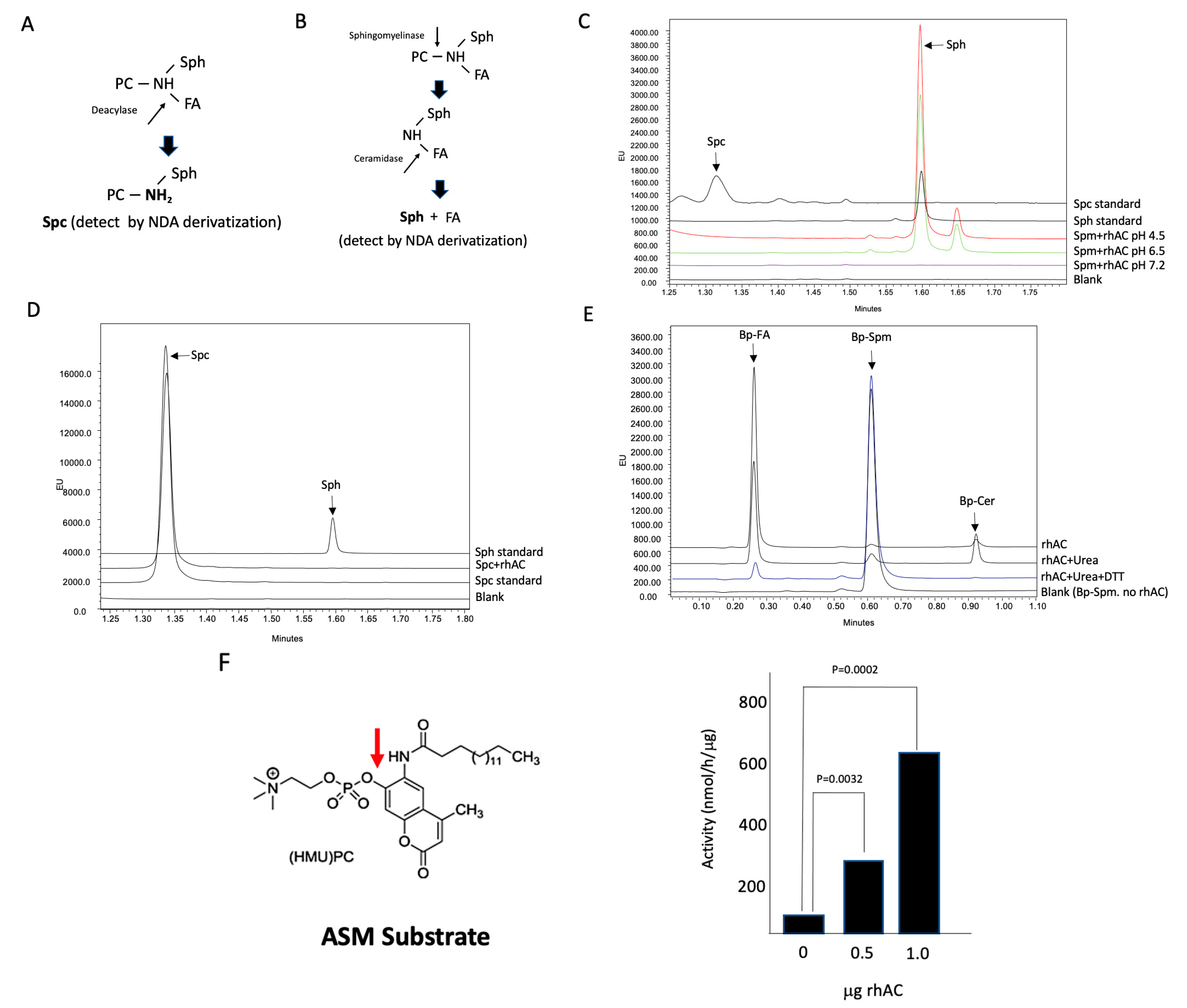 Identification of a Novel Acid Sphingomyelinase Activity Associated ...