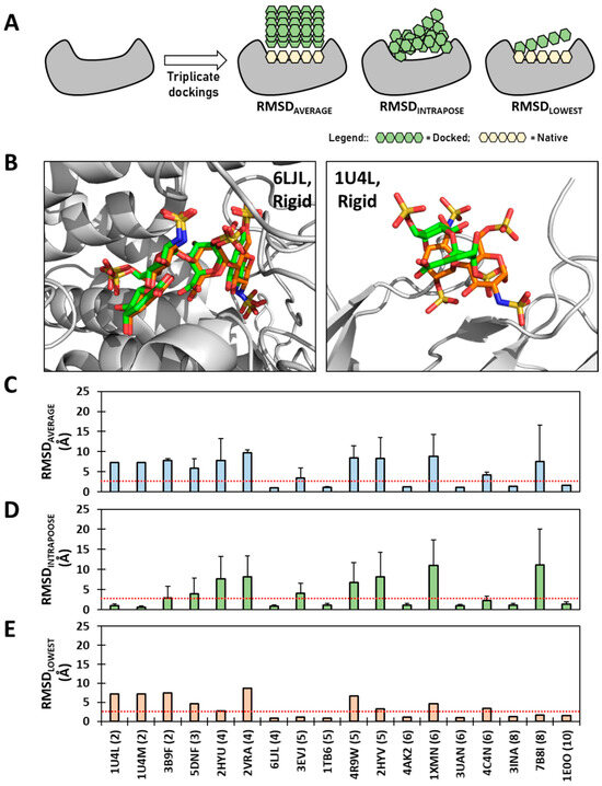 Assessing Genetic Algorithm-Based Docking Protocols for Prediction of ...