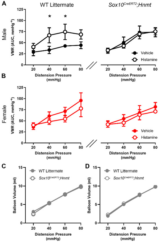Sexually Dimorphic Effects of Histamine Degradation by Enteric Glial ...
