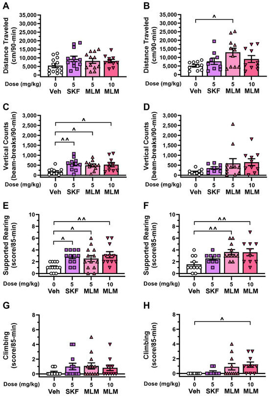 Dopamine-Depleted Dopamine Transporter Knockout (DDD) Mice: Dyskinesia ...