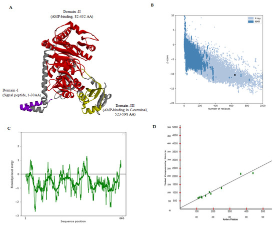 AI-Based Homology Modelling of Fatty Acid Transport Protein 1 Using ...