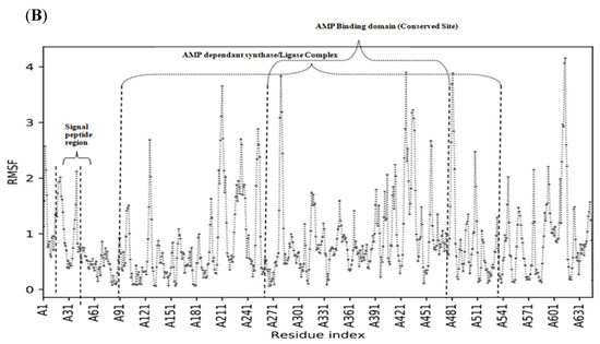 AI-Based Homology Modelling of Fatty Acid Transport Protein 1 Using ...