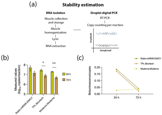 Biomolecules | Free Full-Text | Effects of Combinations of Untranslated-Region Sequences on ...