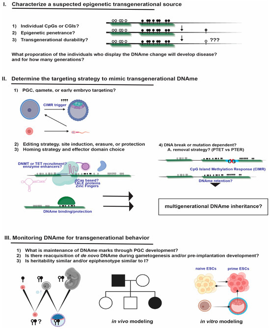 Transgenerational Epigenetic DNA Methylation Editing and Human Disease