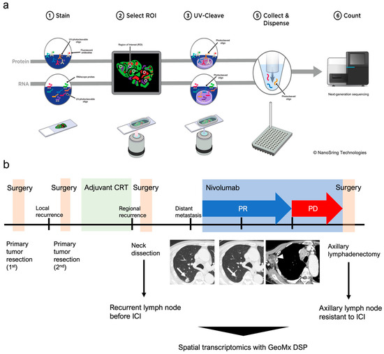 Biomolecules | Free Full-Text | A Spatial Transcriptome Reveals Changes ...