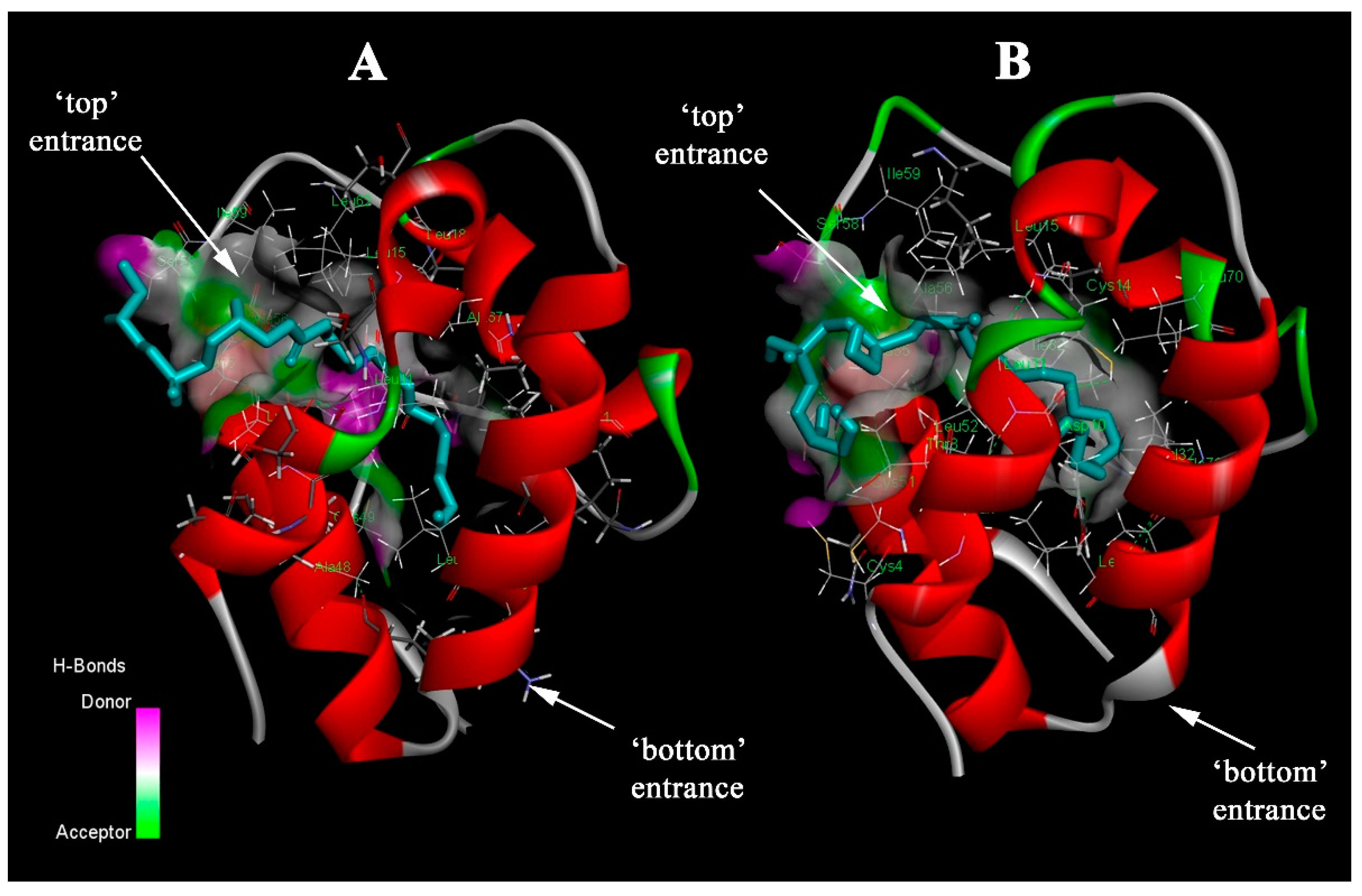 Molecular Insight into Ligand Binding and Transport by the Lentil Lipid ...