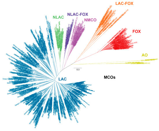 Fungal Laccases: Fundamentals, Engineering and Classification Update