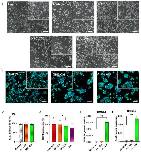 Biomolecules | Free Full-Text | Comparative Study of the Protective and ...