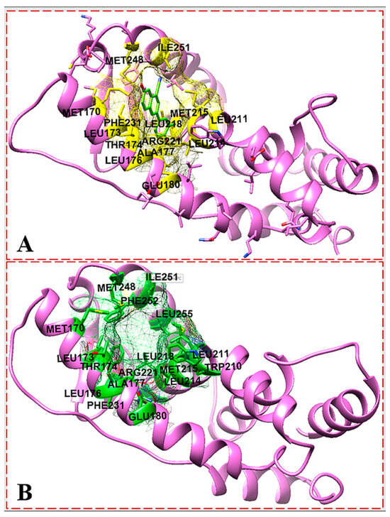 Biomolecules | Free Full-Text | Characteristic Binding Landscape of ...