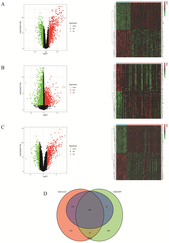 Integrated Bioinformatics and Validation Reveal IFI27 and Its Related Molecules as Potential ...