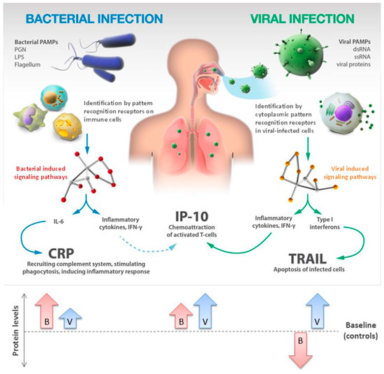 Biomarkers for Serious Bacterial Infections in Febrile Children