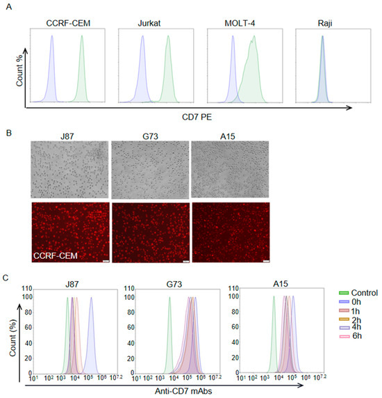 An Anti-CD7 Antibody–Drug Conjugate Target Showing Potent Antitumor ...