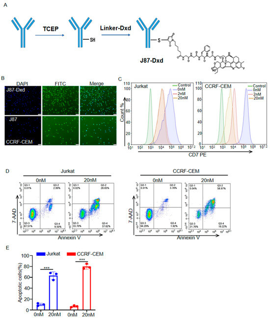 An Anti-CD7 Antibody–Drug Conjugate Target Showing Potent Antitumor ...