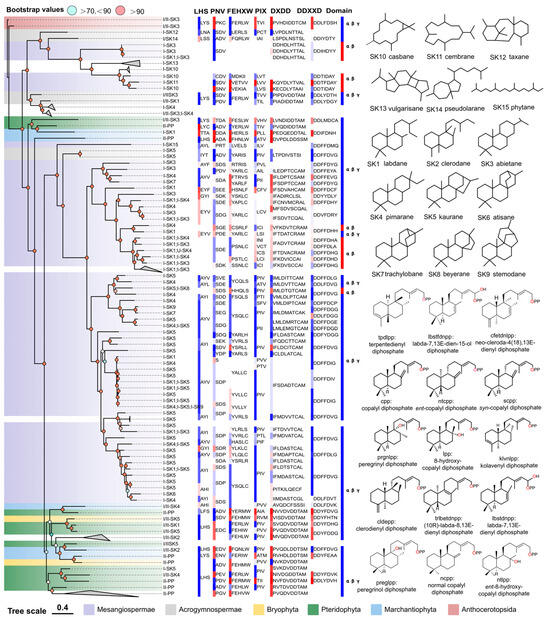 Biomolecules | Free Full-Text | Sequence-Structure Analysis Unlocking ...