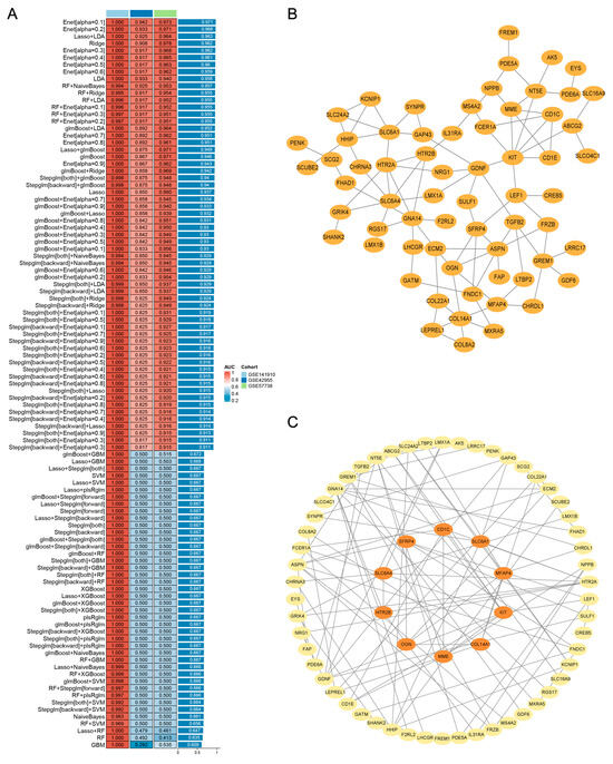 Identifying OGN as a Biomarker Covering Multiple Pathogenic Pathways ...