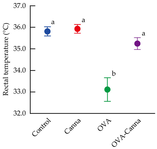 Canna Starch Improves Intestinal Barrier Function, Inhibits Allergen ...