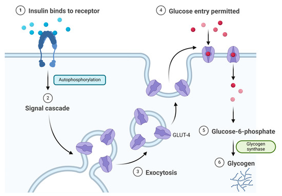 Exploring FDA-Approved Frontiers: Insights into Natural and Engineered ...
