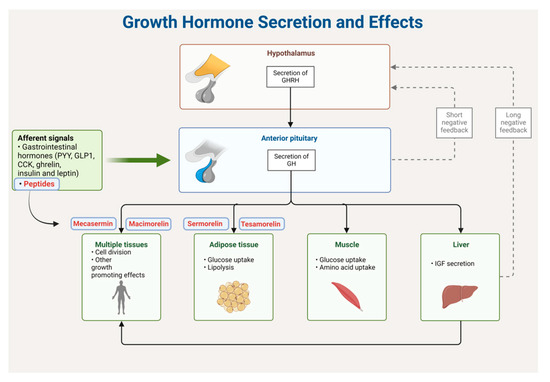 Biomolecules | Free Full-Text | Exploring FDA-Approved Frontiers ...