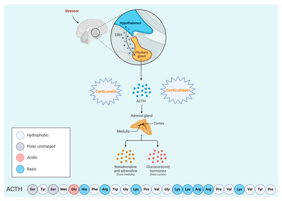 Exploring FDA-Approved Frontiers: Insights into Natural and Engineered ...