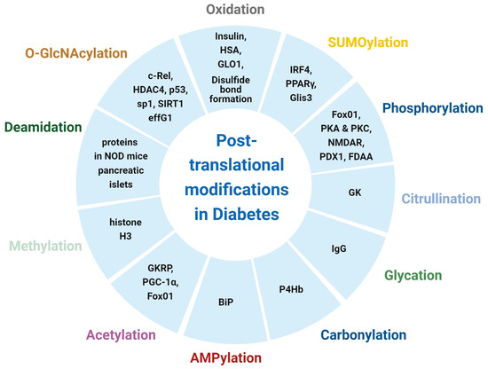 Biomolecules | Free Full-Text | Post-Translational Modifications and ...