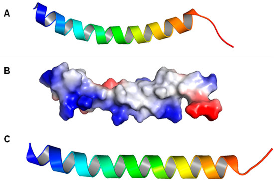 LL-37: Structures, Antimicrobial Activity, and Influence on Amyloid ...