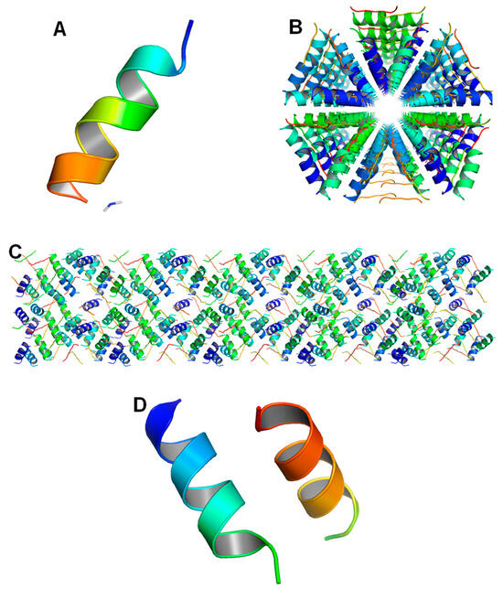 LL-37: Structures, Antimicrobial Activity, and Influence on Amyloid-Related Diseases