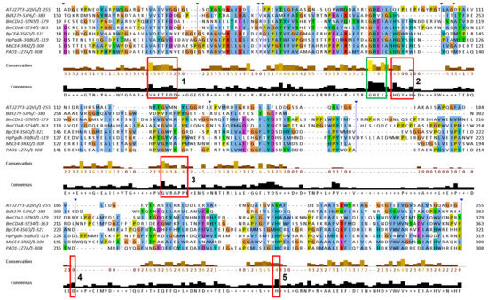 Variations of the NodB Architecture Are Attuned to Functional ...