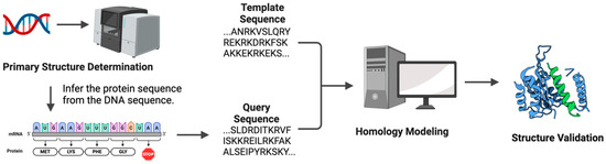 Advances in AI for Protein Structure Prediction: Implications for ...