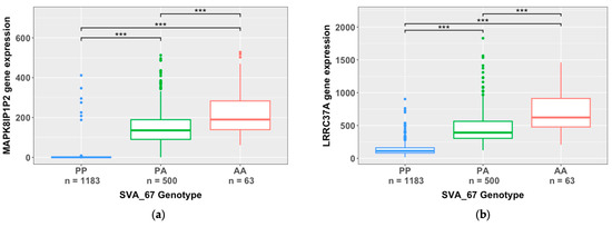 Biomolecules | Free Full-Text | Exploring SVA Insertion Polymorphisms ...