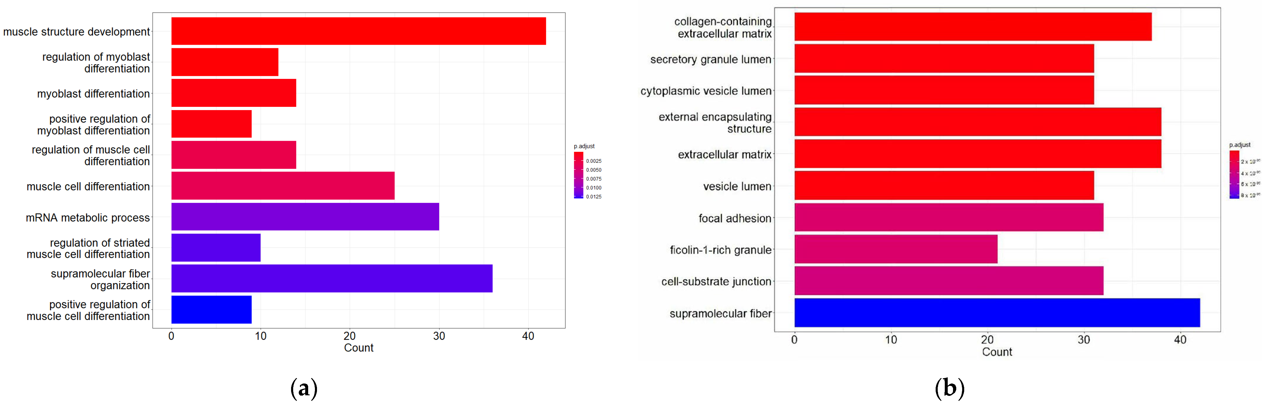 Biomolecules Free Full Text Sporadic Amyotrophic Lateral Sclerosis
