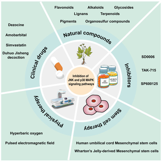 Stress-Activated Protein Kinases in Intervertebral Disc Degeneration ...