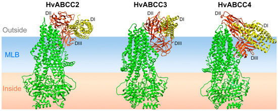 New Paralogs of the Heliothis virescens ABCC2 Transporter as Potential ...