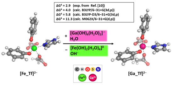 In Silico Analysis of the Ga3+/Fe3+ Competition for Binding the Iron ...