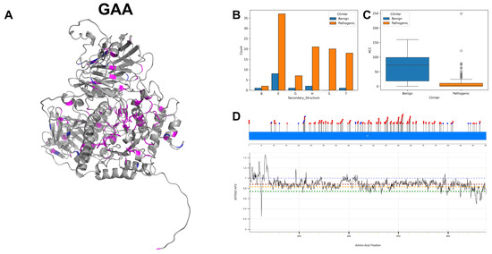 Mutations in Glycosyltransferases and Glycosidases: Implications for ...