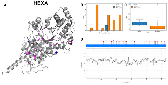 Mutations in Glycosyltransferases and Glycosidases: Implications for ...