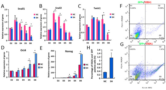 Knockdown H19 Accelerated iPSCs Reprogramming through Epigenetic Modifications and Mesenchymal ...