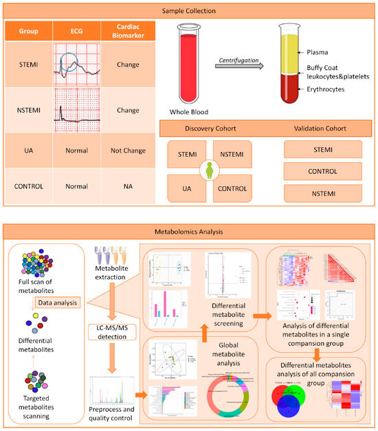 Metabolomics Analysis Identifies Differential Metabolites as Biomarkers ...