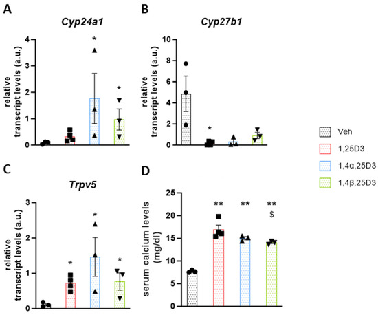 4-Hydroxy-1α,25-Dihydroxyvitamin D3: Synthesis and Structure–Function Study
