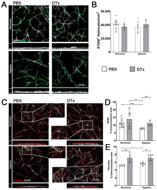 Astrogliosis in the GFAP-CreERT2:Rosa26iDTR Mouse Model Does Not ...